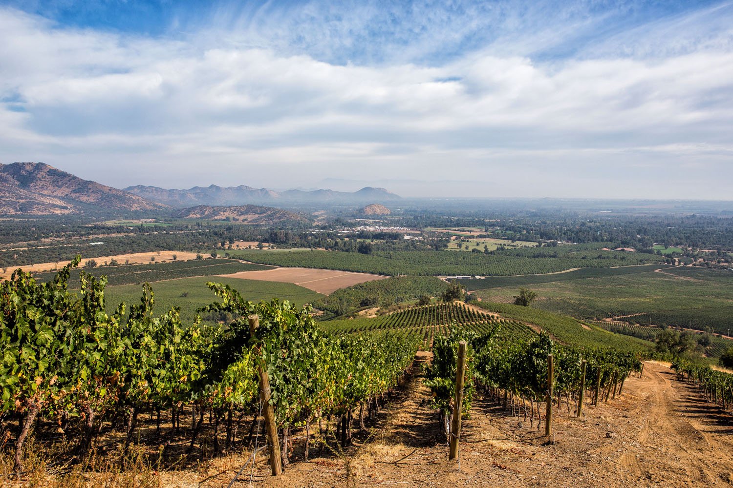 How to Visit Santiago Wine Regions Without Taking a Tour