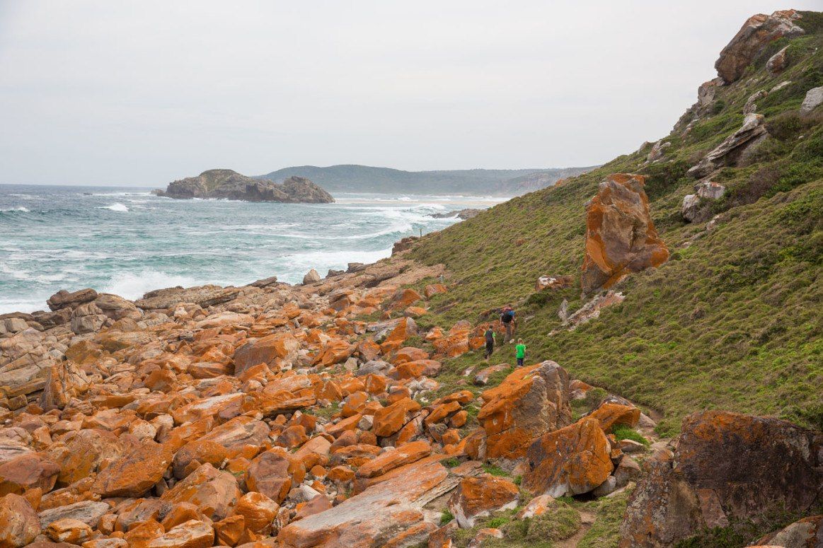 Hiking Robberg Peninsula in South Africa – Earth Trekkers