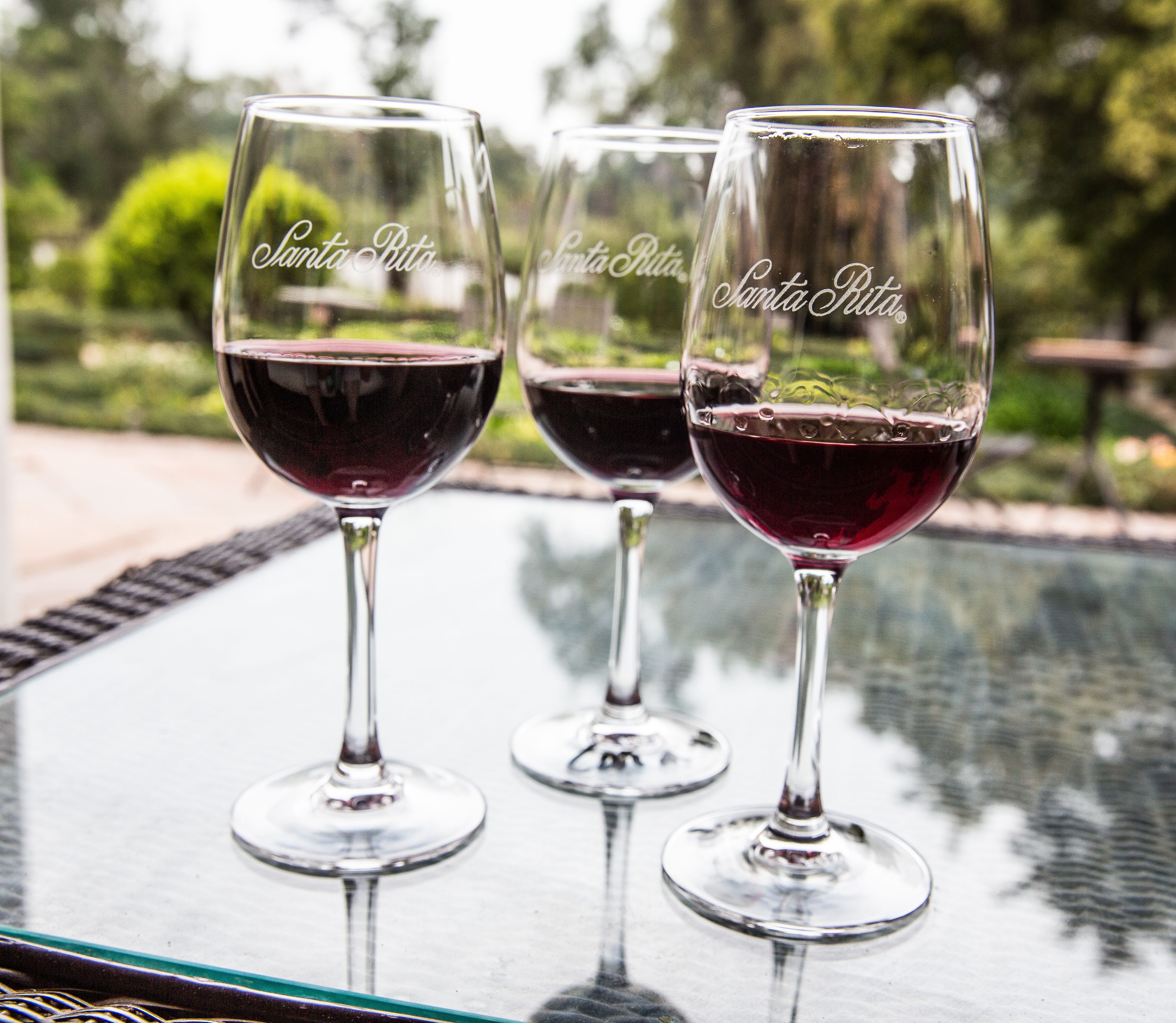 How to Visit Santiago Wine Regions Without Taking a Tour