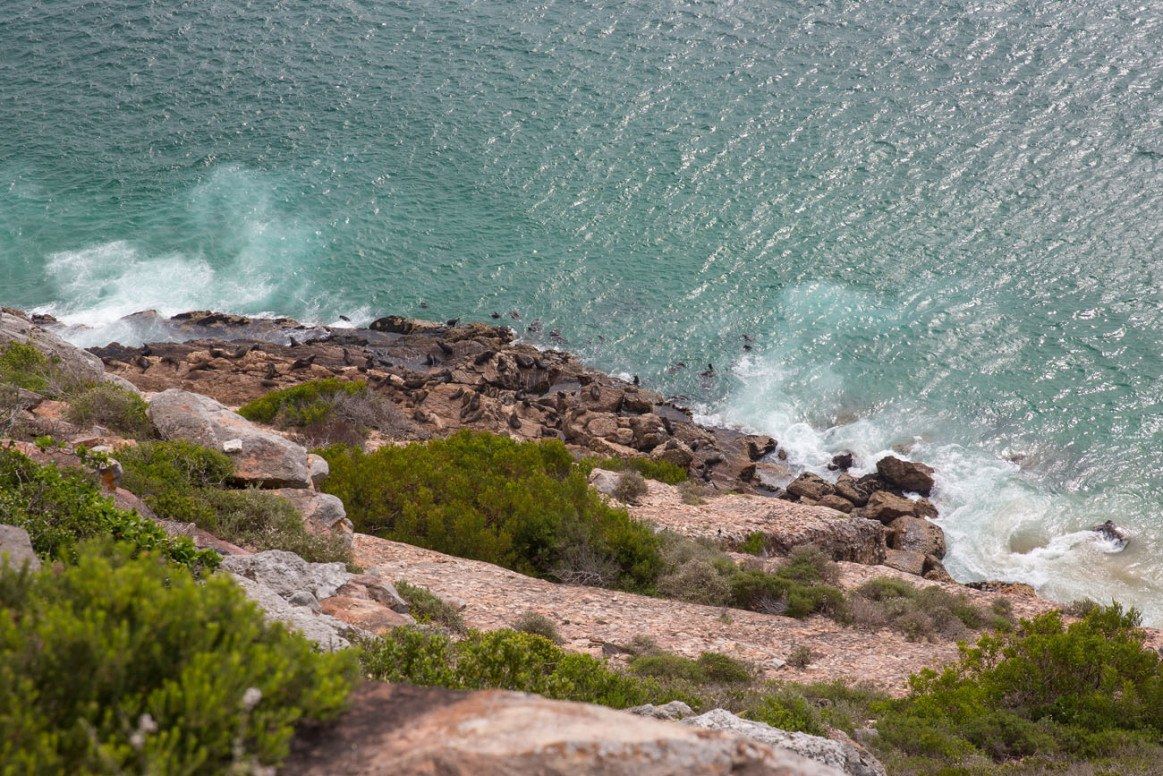 Hiking Robberg Peninsula in South Africa – Earth Trekkers