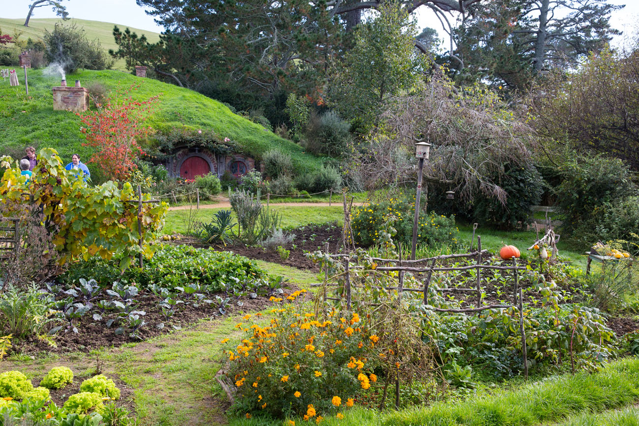 Photo Tour of the Hobbiton Movie Set | Earth Trekkers