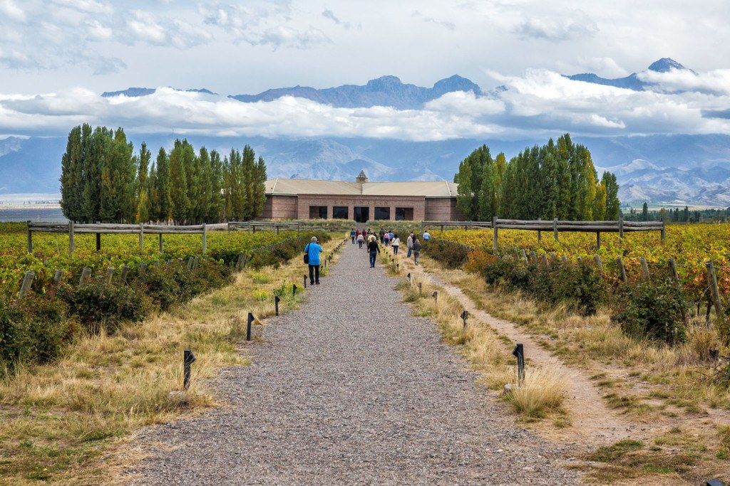 Mendoza Wine Region: How to Plan the Perfect Visit – Earth Trekkers