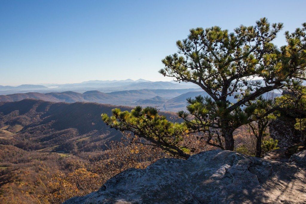 Hiking McAfee Knob on the Appalachian Trail – Earth Trekkers