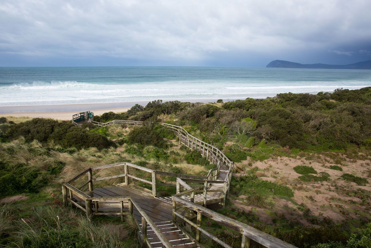 6 Must-Have Experiences on Bruny Island, Tasmania | Earth Trekkers