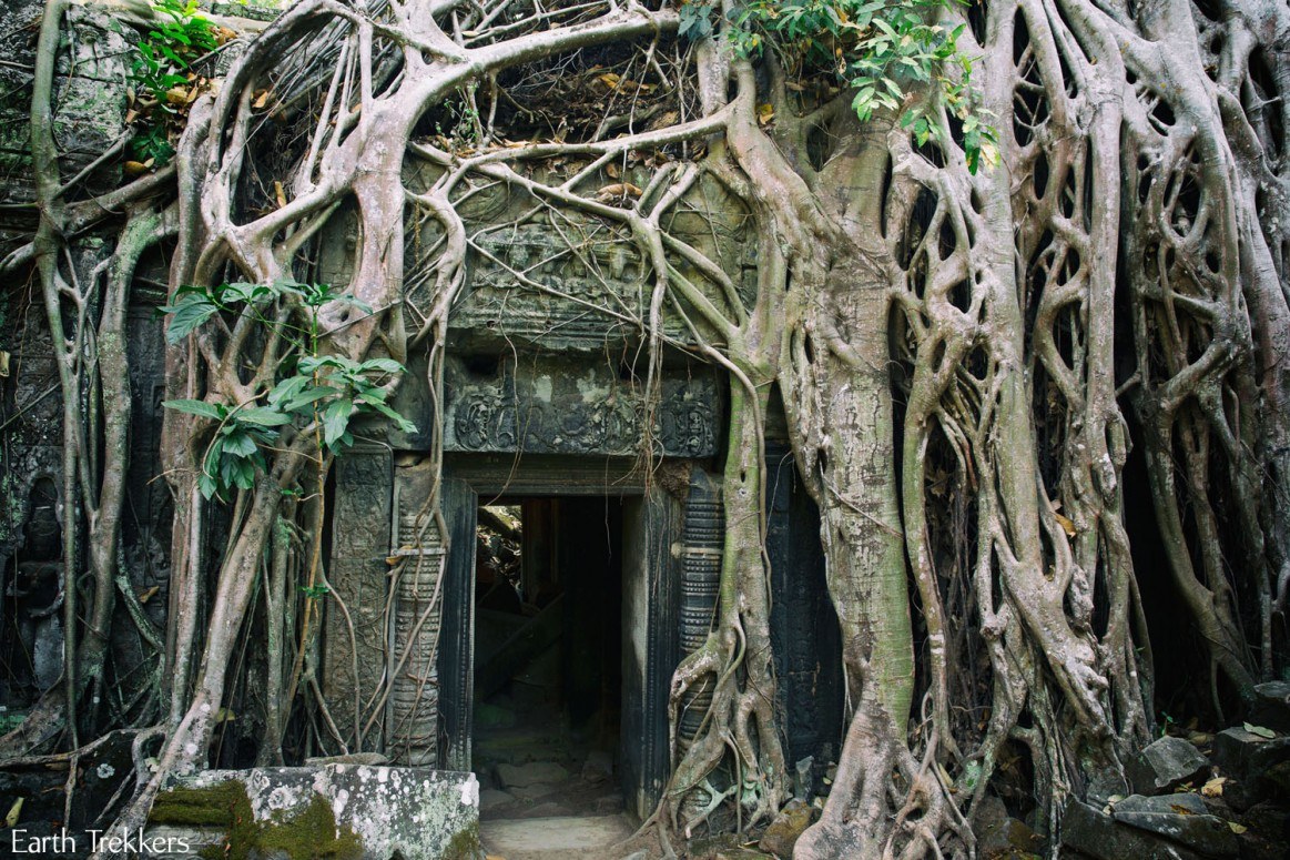 Exploring Ta Prohm, Cambodia: A Photojourney | Earth Trekkers
