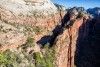 Angels Landing Survival Guide: Things to Know Before You Go | Earth ...
