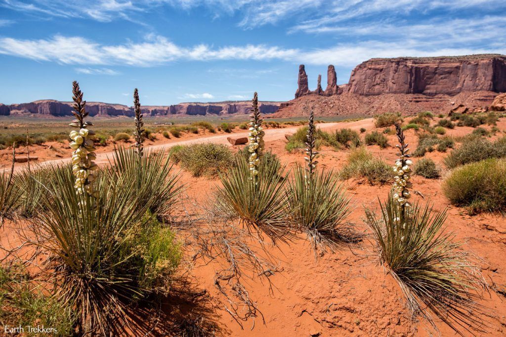 How to Visit Monument Valley: Ultimate Guide for First Time Visitors ...