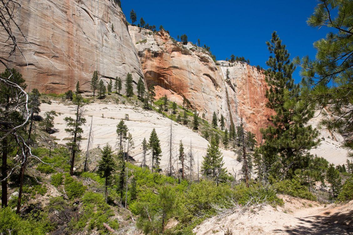 How to Day Hike the West Rim Trail in Zion National Park – Earth Trekkers