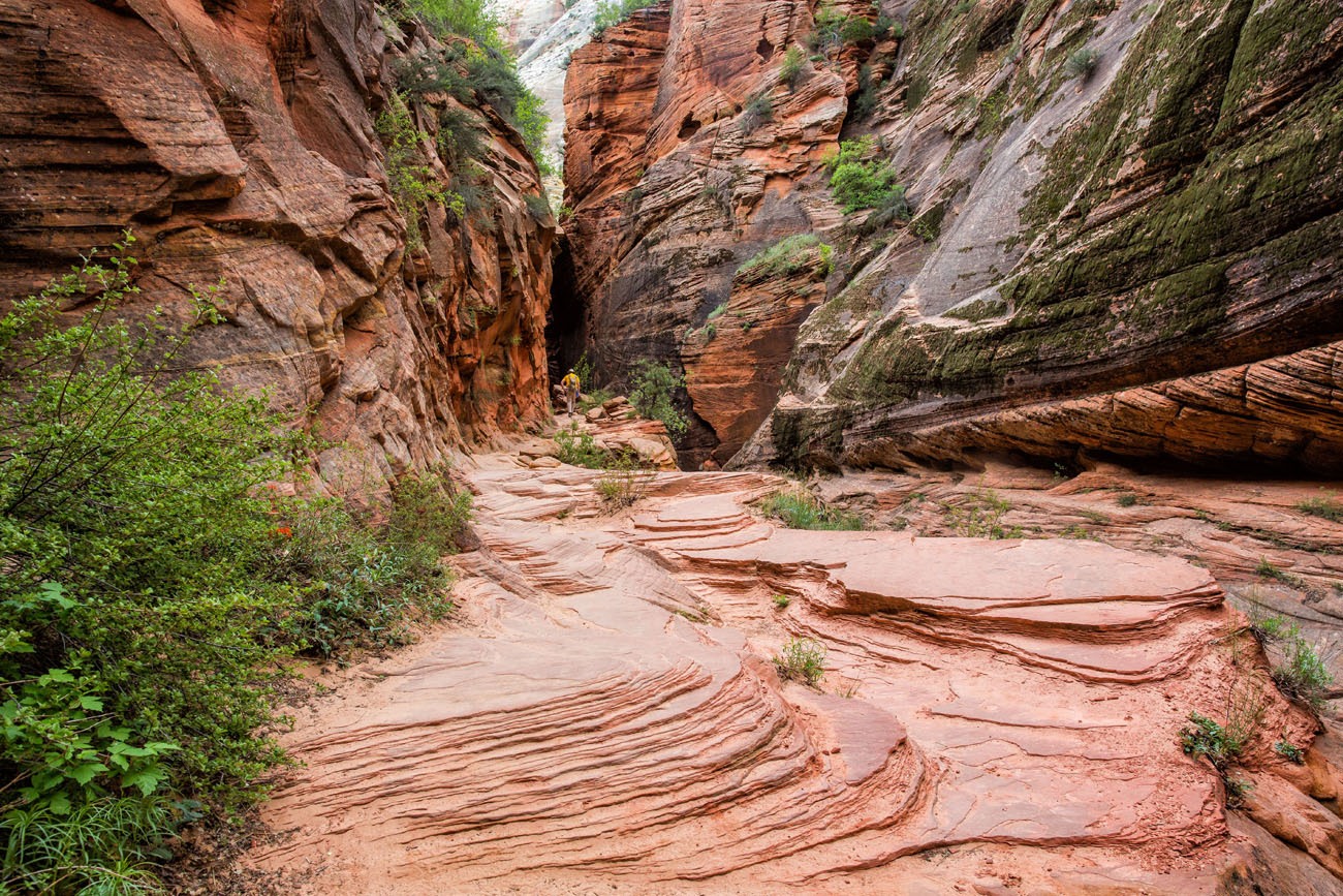 Hiking to Observation Point in Zion National Park | Earth Trekkers
