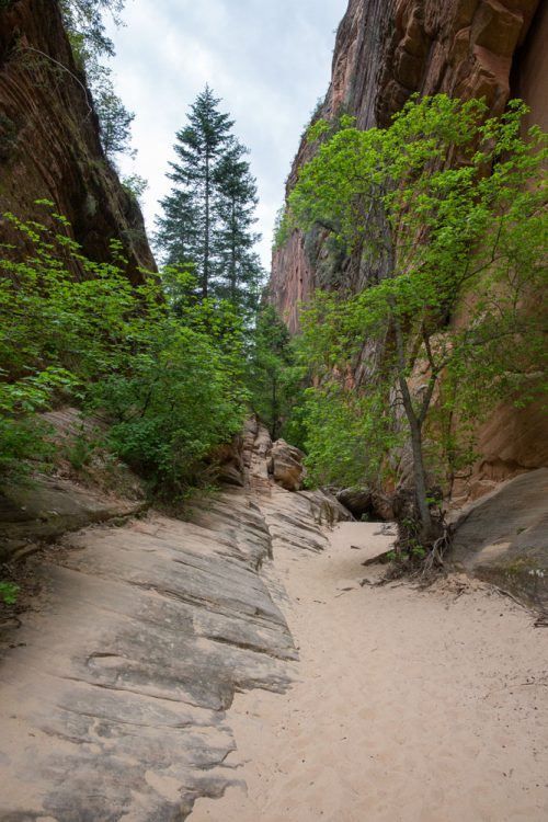 Hidden Canyon: An Unexpected Surprise in Zion National Park – Earth ...