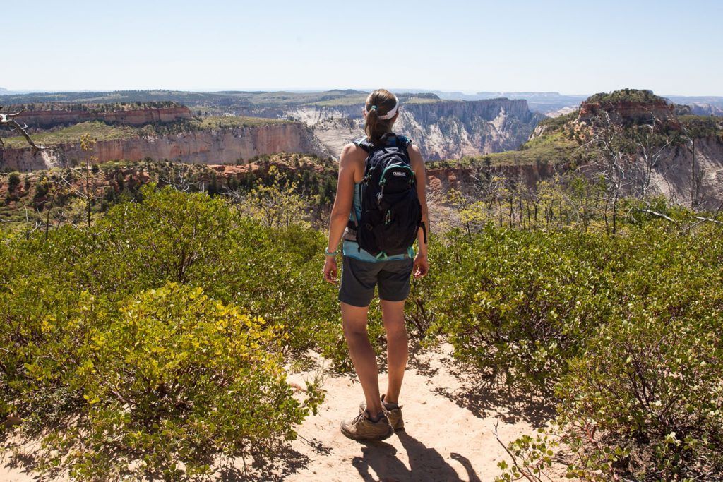 How to Day Hike the West Rim Trail in Zion National Park – Earth Trekkers