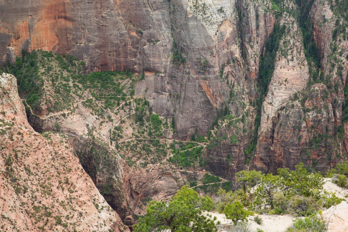 Hiking to Observation Point in Zion National Park | Earth Trekkers