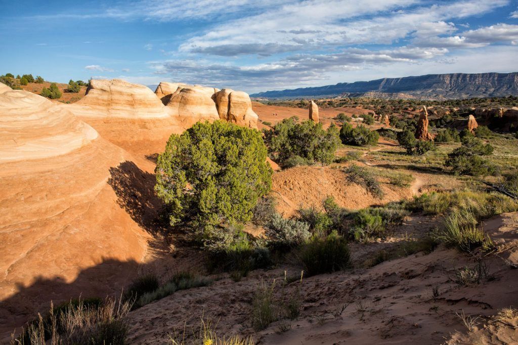 5 Reasons Why You Should Visit Devils Garden in Grand Staircase ...