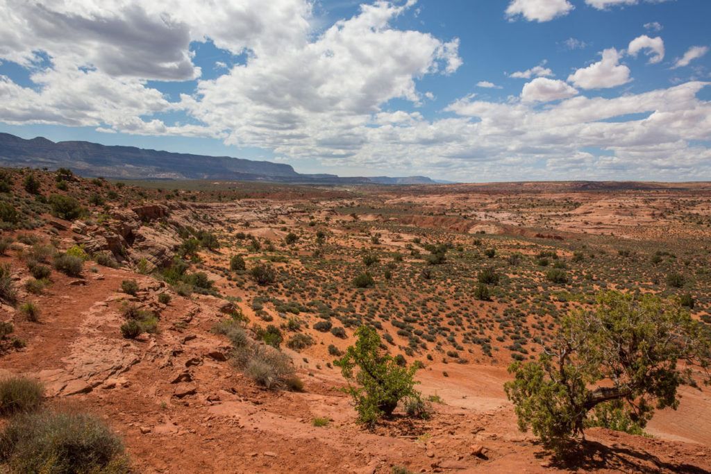 A Photojourney through Peek-A-Boo Gulch and Spooky Gulch – Earth Trekkers