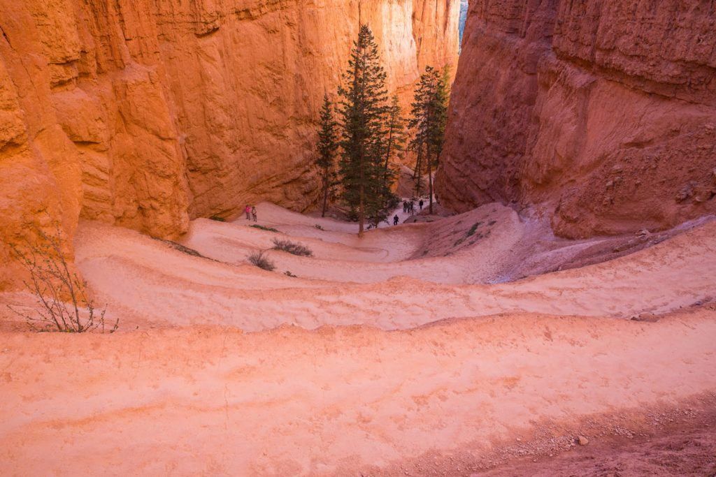 Hiking Bryce Canyon: Queens Garden and Navajo Loop Trails – Earth Trekkers