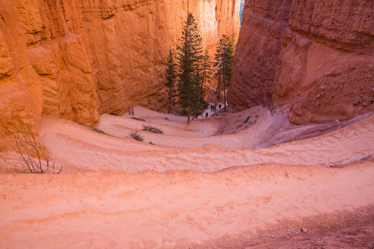 Hiking Bryce Canyon Queens Garden And Navajo Loop Trails Earth Trekkers