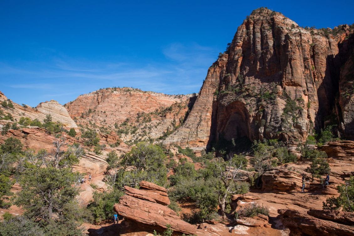 The Canyon Overlook Trail, One of Zion’s Essential Hikes – Earth Trekkers