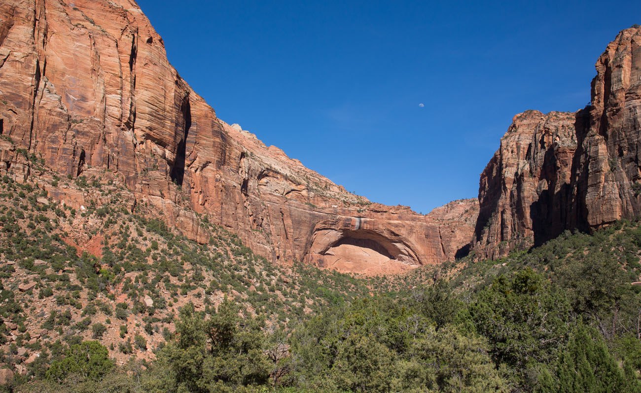The Canyon Overlook Trail, One of Zion’s Essential Hikes | Earth Trekkers