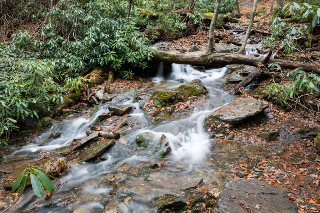 Hiking Mt. LeConte in the Great Smoky Mountains – Earth Trekkers
