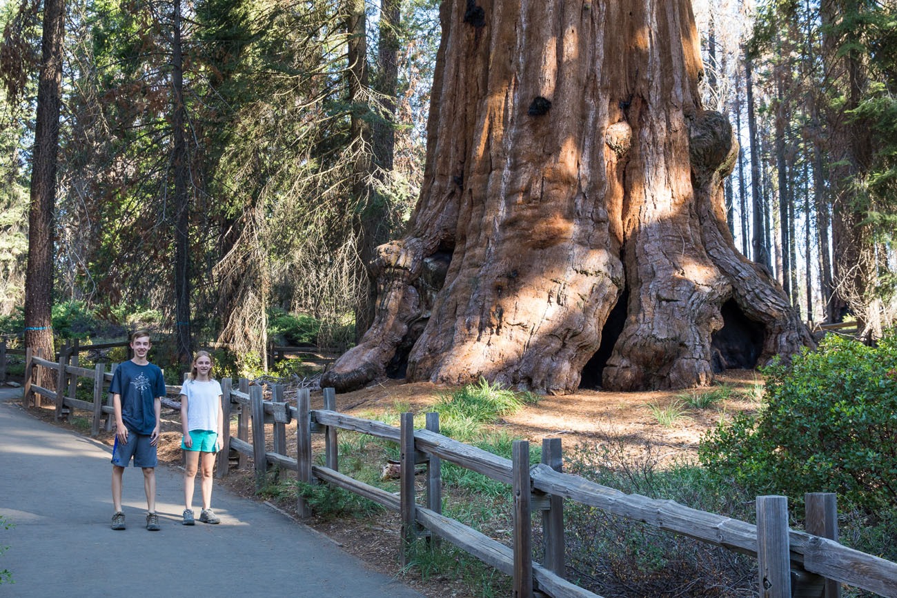 One Day Itinerary for Kings Canyon and Sequoia National Parks | Earth ...