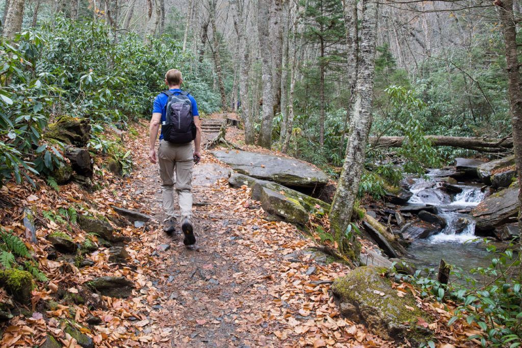 Hiking Mt. LeConte in the Great Smoky Mountains – Earth Trekkers