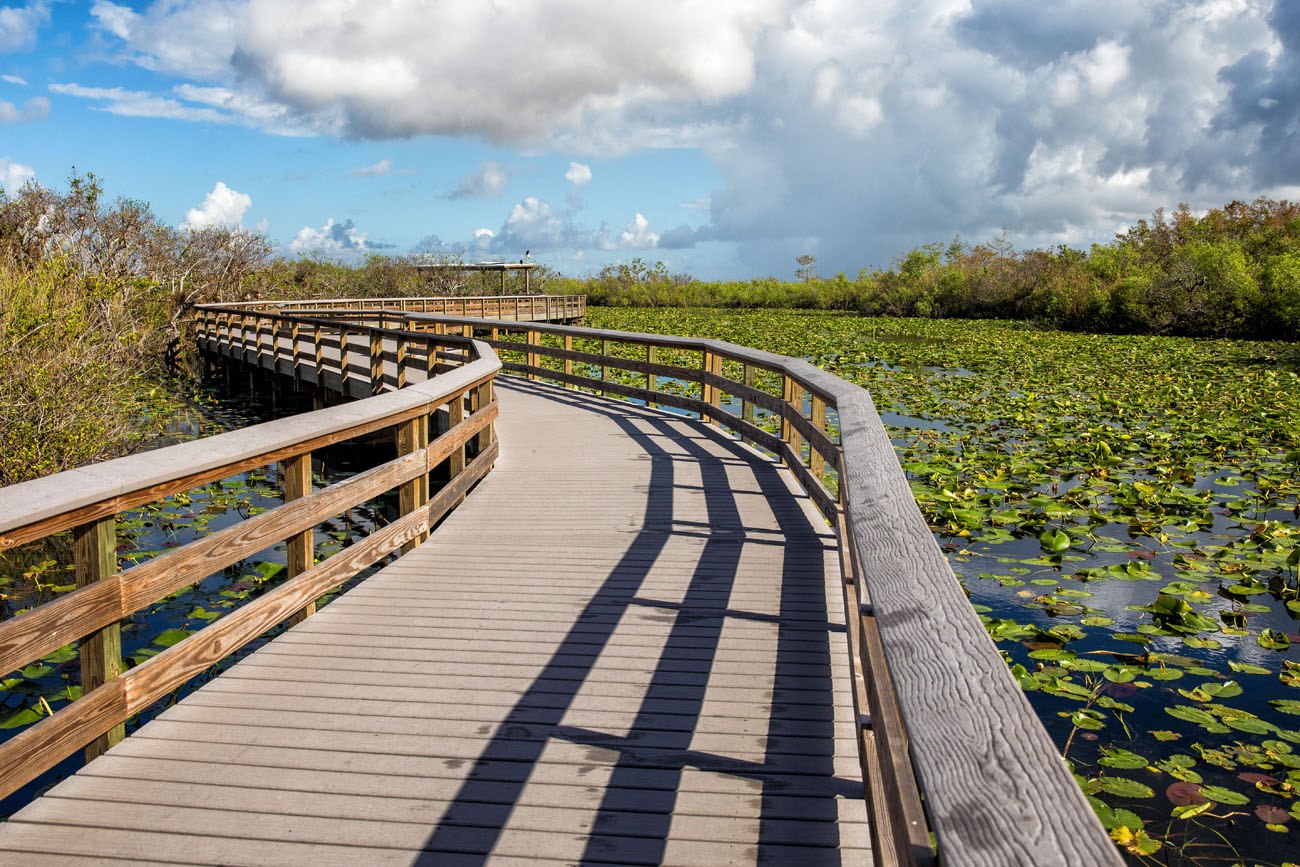 One Perfect Day in Everglades National Park | Earth Trekkers