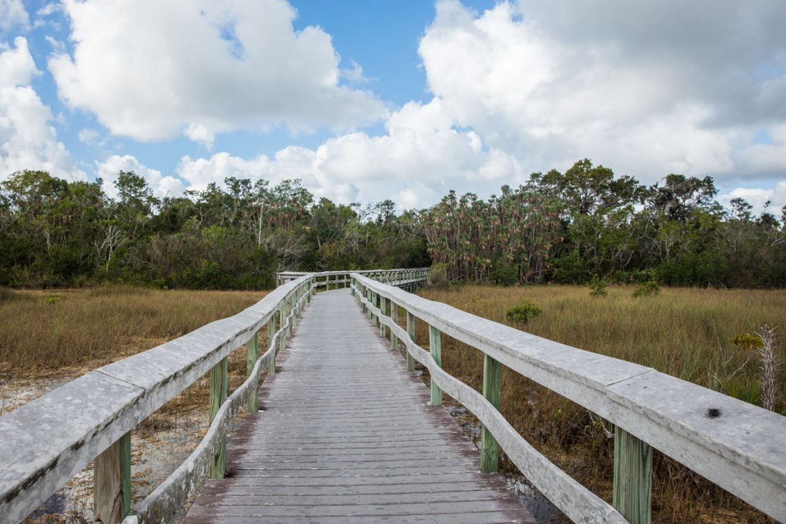 One Perfect Day in Everglades National Park – Earth Trekkers
