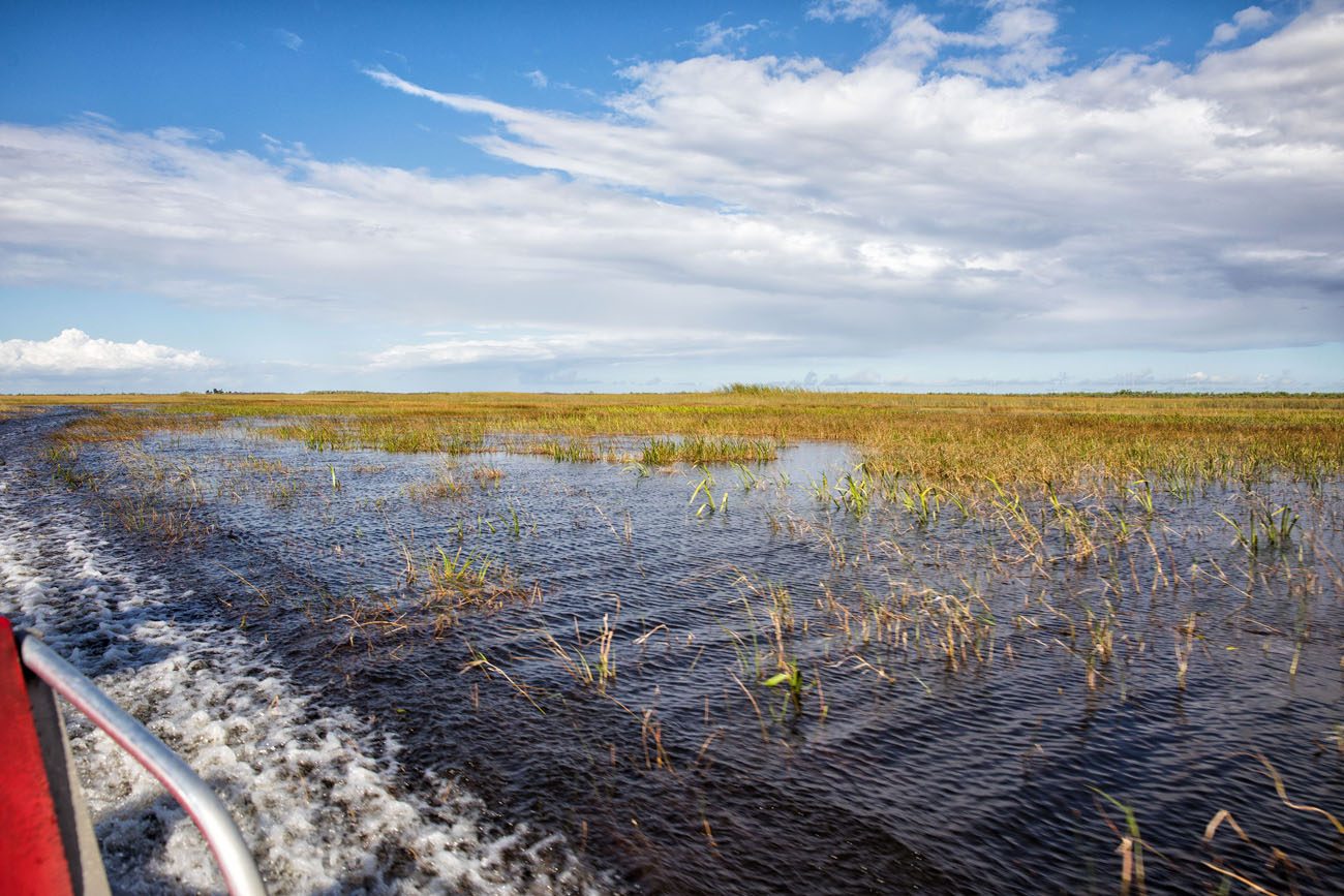 One Perfect Day in Everglades National Park | Earth Trekkers