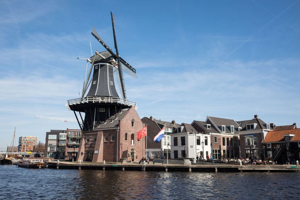 6 Reasons Why You Should Take a Day Trip to Haarlem – Earth Trekkers