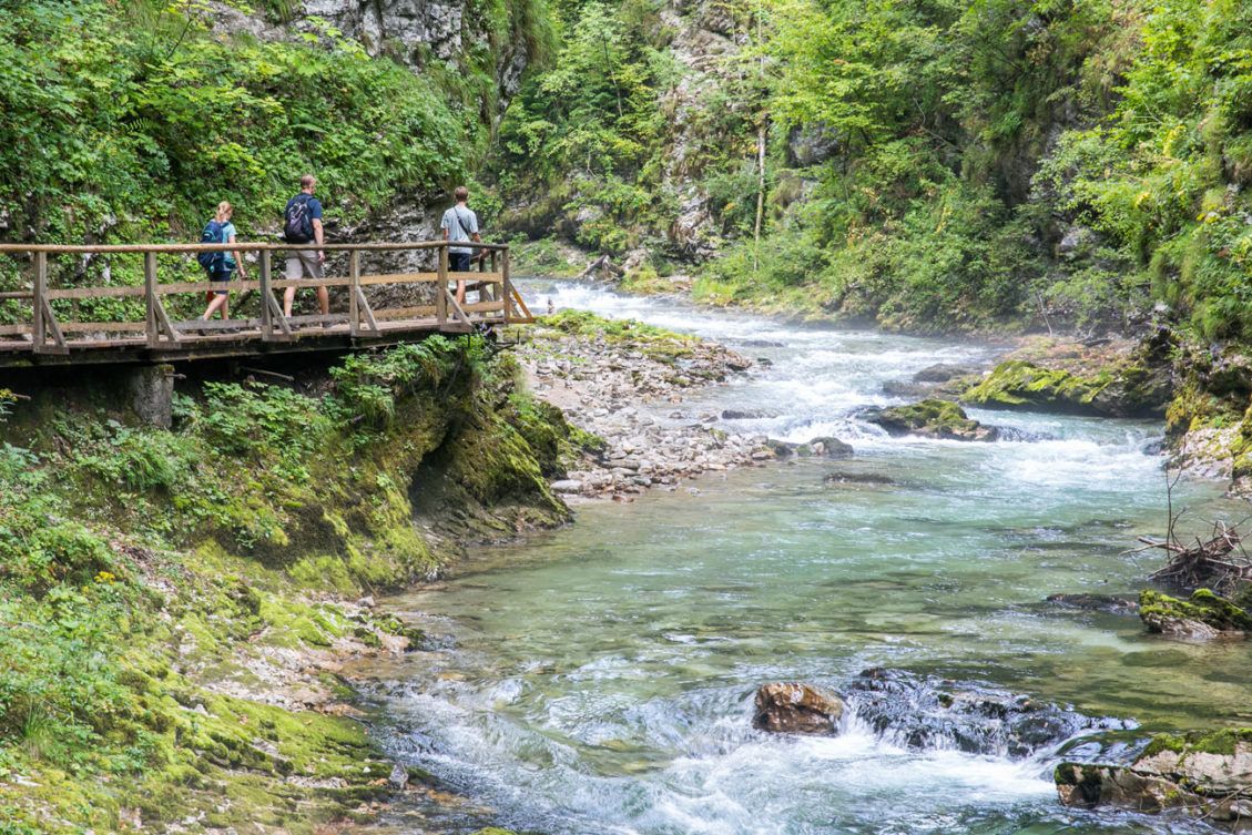 The Ultimate Guide to Visiting Vintgar Gorge in Slovenia – Earth Trekkers