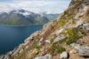 How to Hike Segla, One of Senja’s Most Popular Hikes | Earth Trekkers