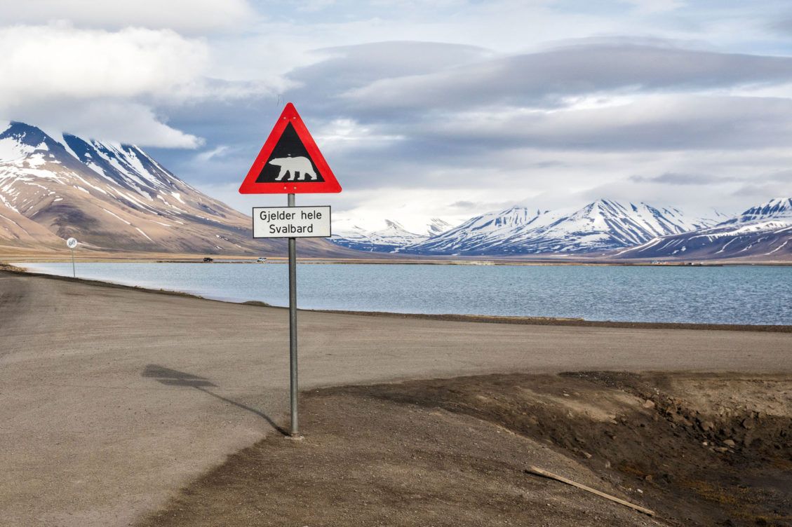 Svalbard Travel Guide: Plan Your Perfect Visit | Earth Trekkers