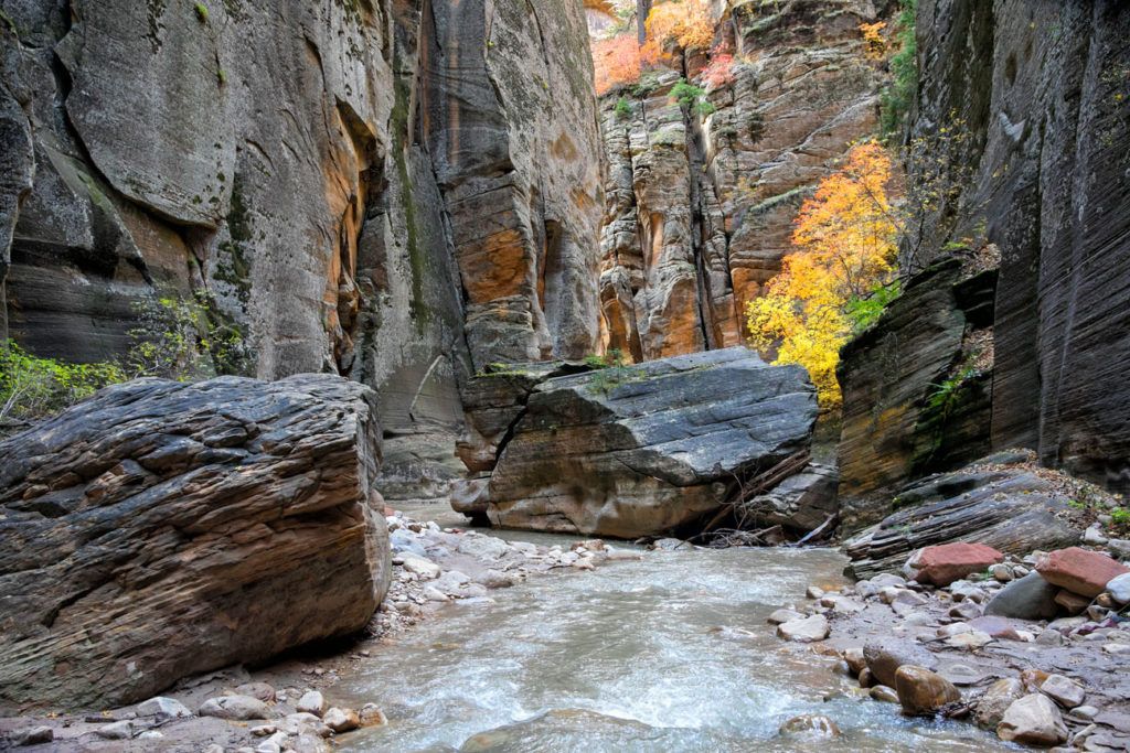 10 Great Hikes in Zion National Park: Which One Will Be Your Favorite ...