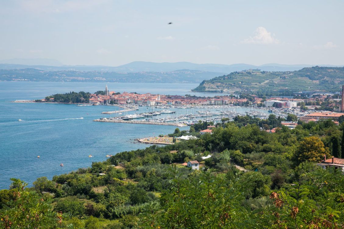 One Day in Piran and Koper: How to Plan Your Day Trip – Earth Trekkers