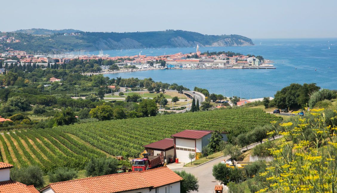 One Day in Piran and Koper: How to Plan Your Day Trip – Earth Trekkers