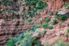 How to Hike the Grand Canyon Rim-to-Rim | Earth Trekkers
