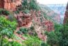 How to Hike the Grand Canyon Rim-to-Rim | Earth Trekkers