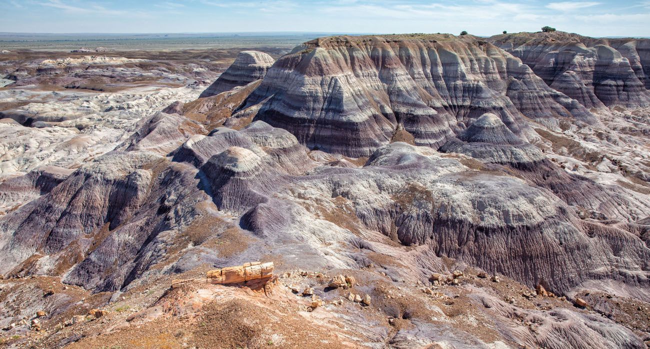 Petrified Forest National Park: Travel Guide & Itinerary – Earth Trekkers