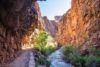 How to Hike the Grand Canyon Rim-to-Rim | Earth Trekkers