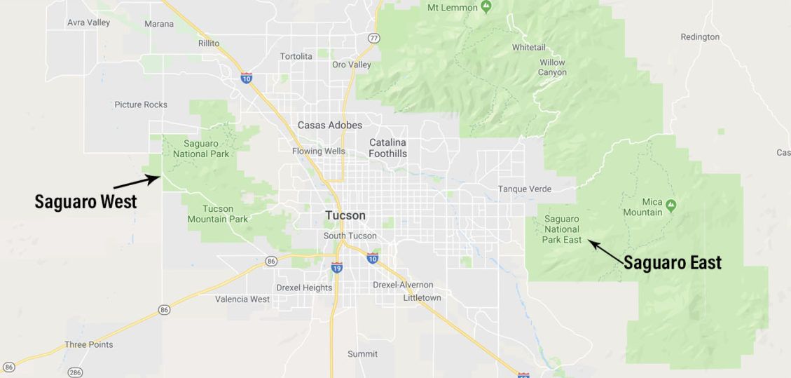 8 Amazing Things to Do in Saguaro National Park – Earth Trekkers