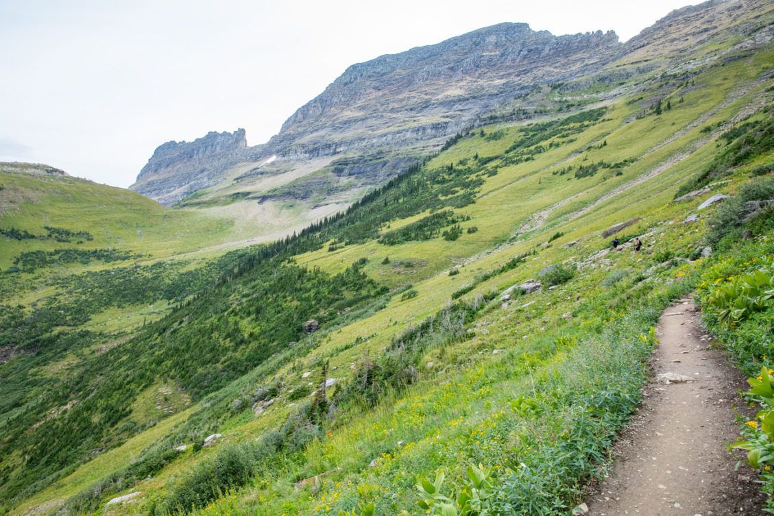 Highline Trail: Logan Pass to the Loop, Glacier National Park – Earth ...