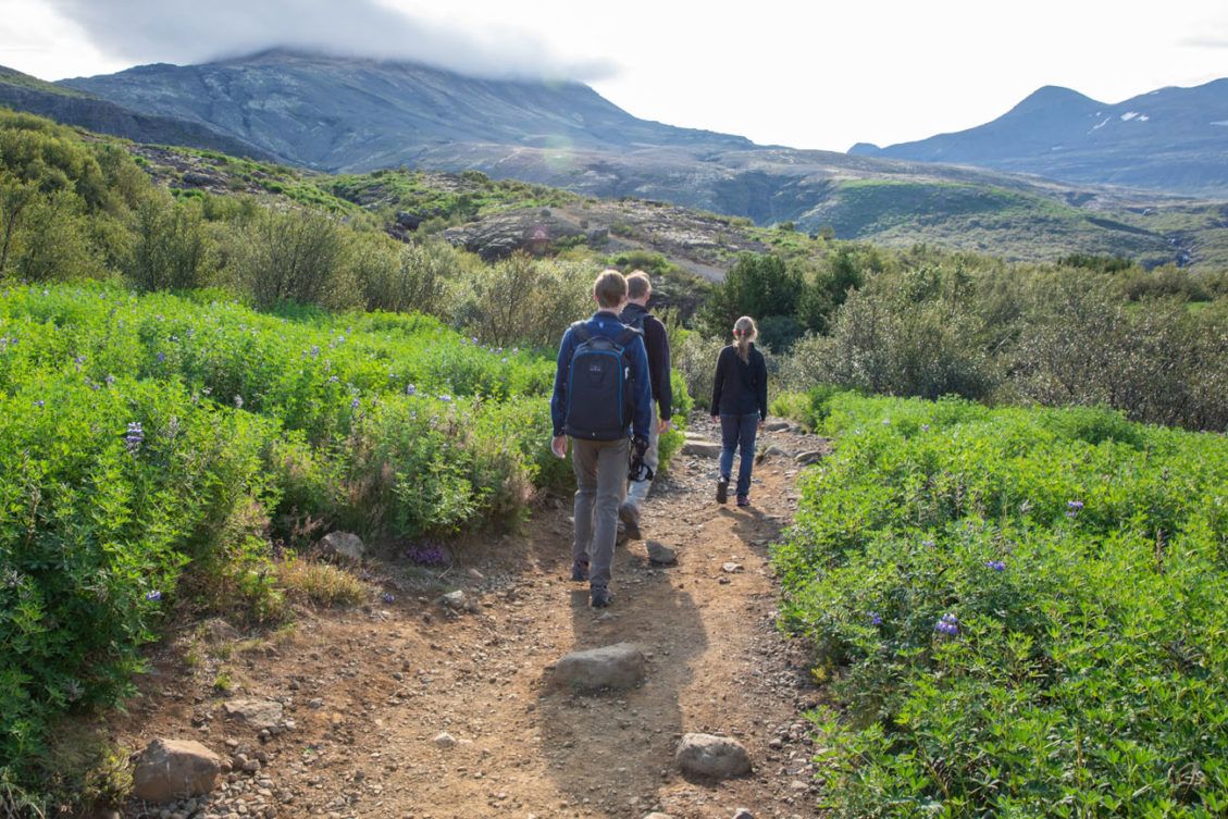 Glymur Waterfall: Step-By-Step Hiking Guide (+ Drone Video) – Earth ...