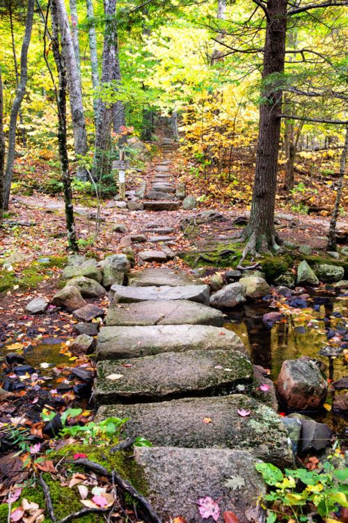 10 Great Hikes in Acadia National Park | Earth Trekkers