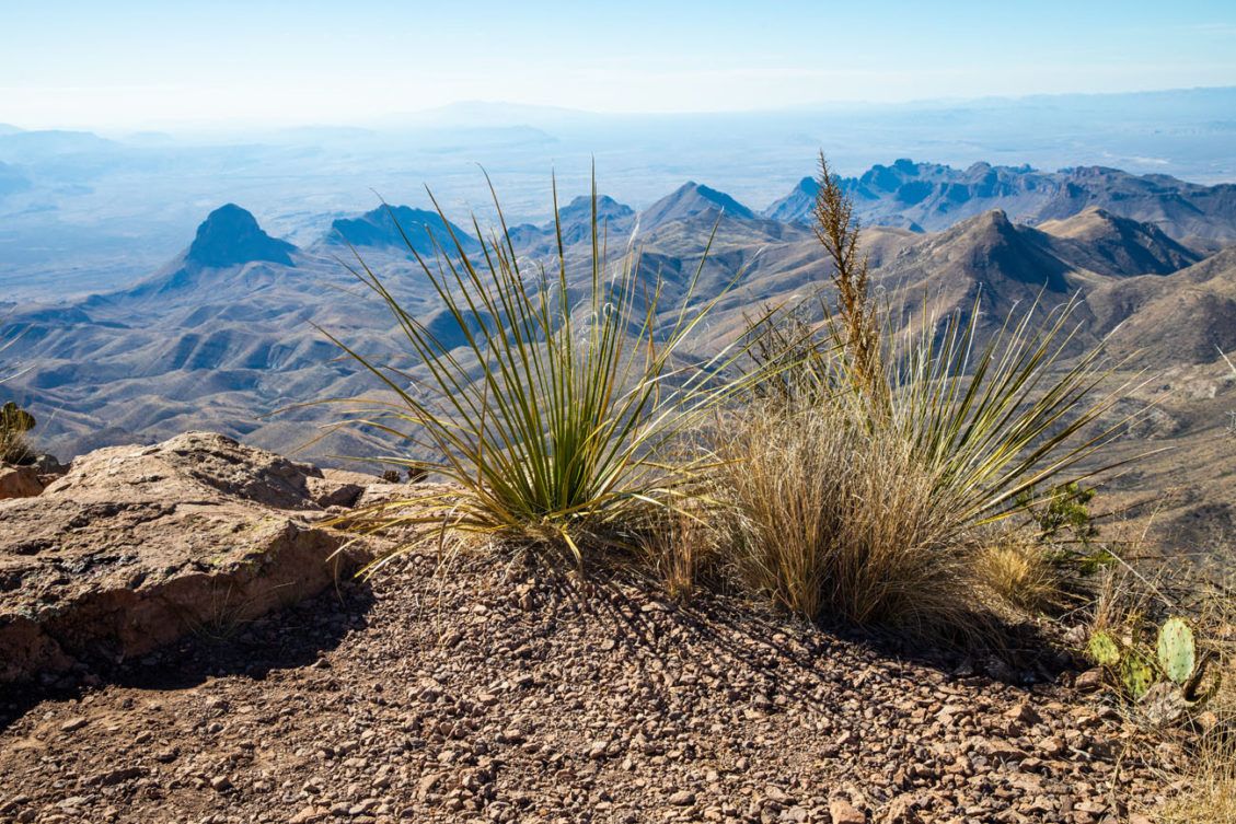 How to Hike the South Rim Trail in Big Bend National Park – Earth Trekkers
