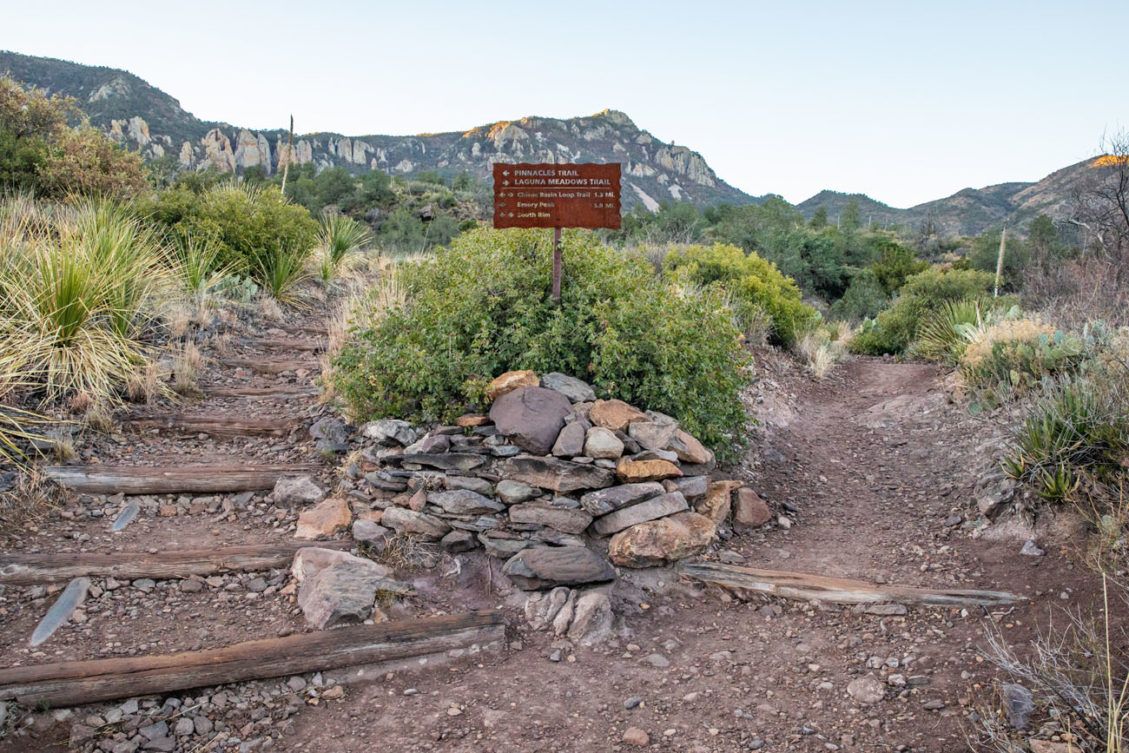 Hiking to Emory Peak in Big Bend National Park – Earth Trekkers