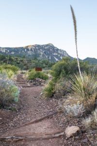 How to Hike the South Rim Trail in Big Bend National Park – Earth Trekkers