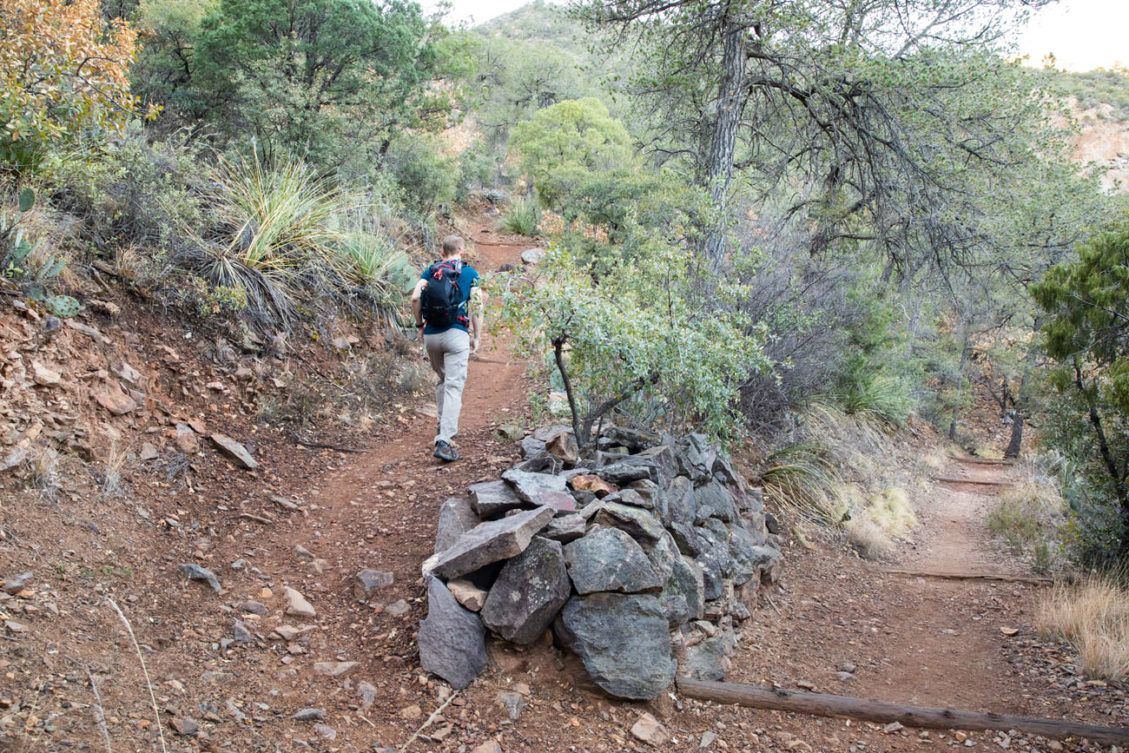 How to Hike the South Rim Trail in Big Bend National Park – Earth Trekkers