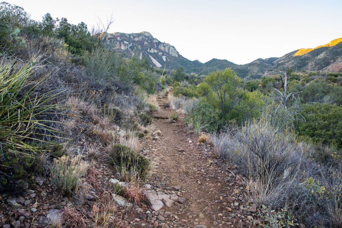 How to Hike the South Rim Trail in Big Bend National Park – Earth Trekkers