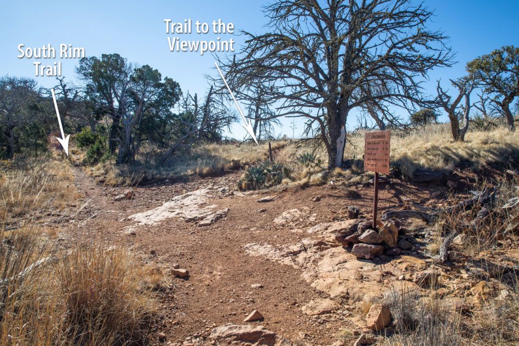 How to Hike the South Rim Trail in Big Bend National Park – Earth Trekkers