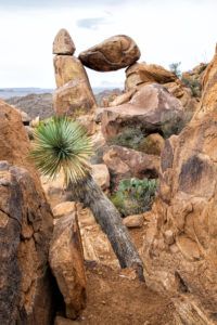 Balanced Rock Hike: A Short but Sweet Hike in Big Bend National Park ...